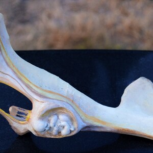 Bone Mother, Sacred Altar Sculpture With Crystal by Shaping Spirit ...