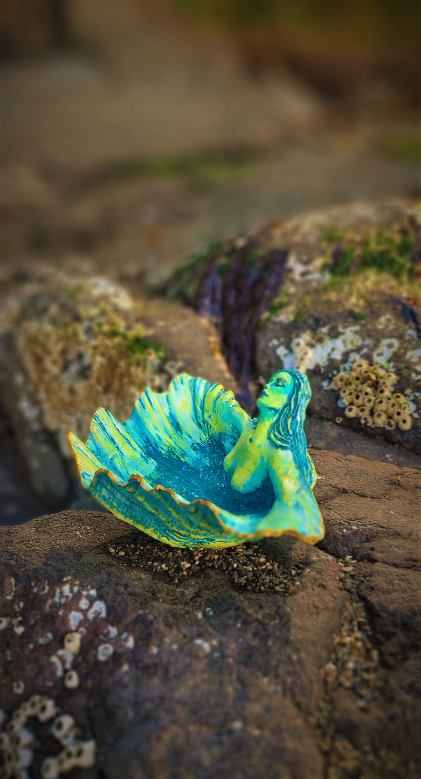 Ocean Treasure Bowl Clam Shell Goddess Altar Bowl Sculpture - Etsy