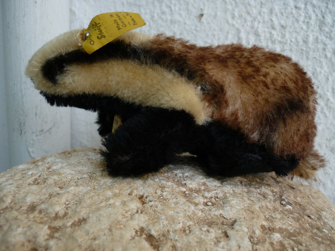 SUPER RARE 1963-64 Steiff,diggy Badger,1310,00,all Ids,name Tag,worn ...