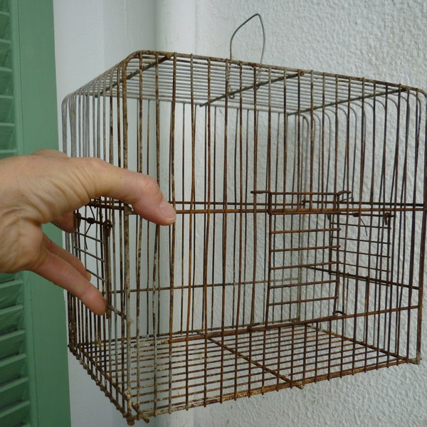 Old Birdcage - Etsy