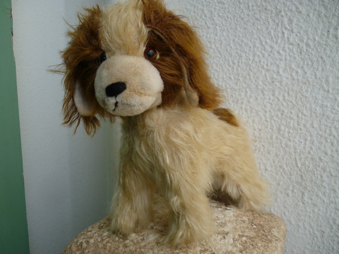 Vintage,wood Stuffed,scruffy,spaniel Dog,dog,glass Eyes,fixed Position ...