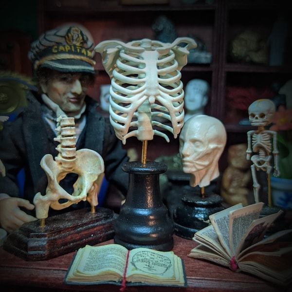 Medical Oddities - Etsy
