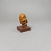 PARACAS ELONGATED SKULL Miniature. Cranial Deformation From Peru for ...