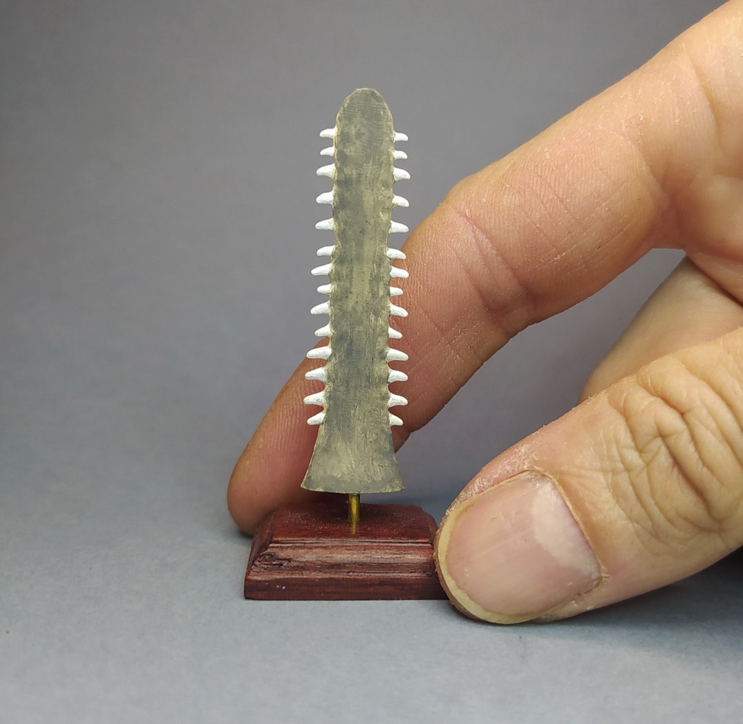 SAWFISH SWORD. Taxidermy Natural History Specimen. Wunderkammer ...