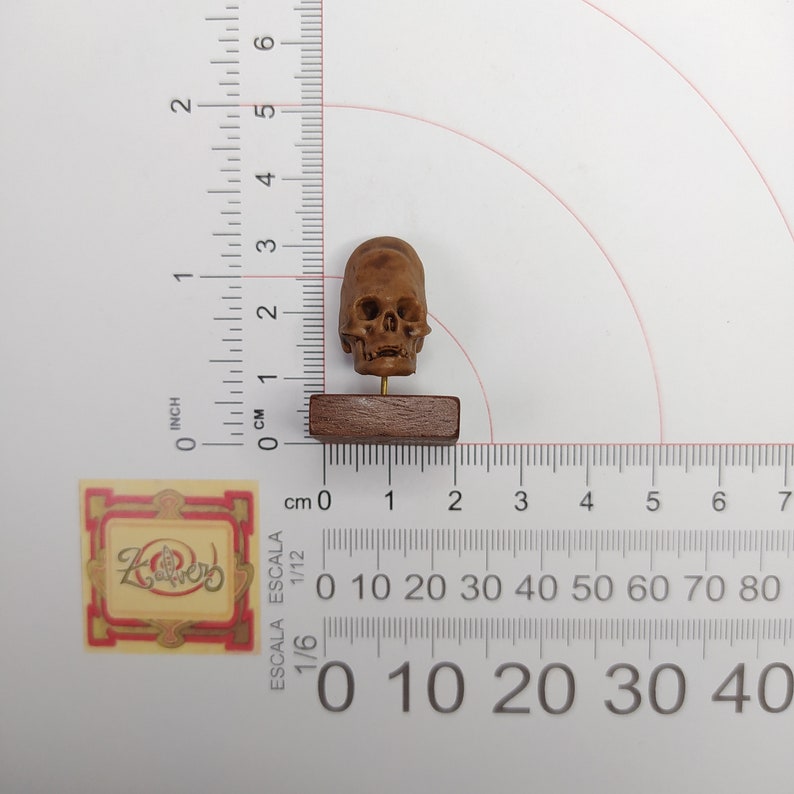 PARACAS ELONGATED SKULL Miniature. Cranial Deformation From Peru for ...