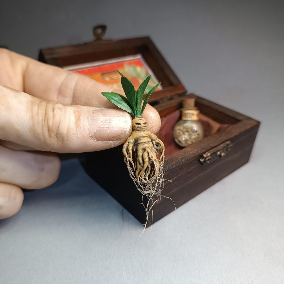 MINIATURE MANDRAKE ROOT in Wooden Chest . Magic Plant for Witchcraft ...