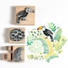 Toucan and Jungle Rubber Stamps - Etsy