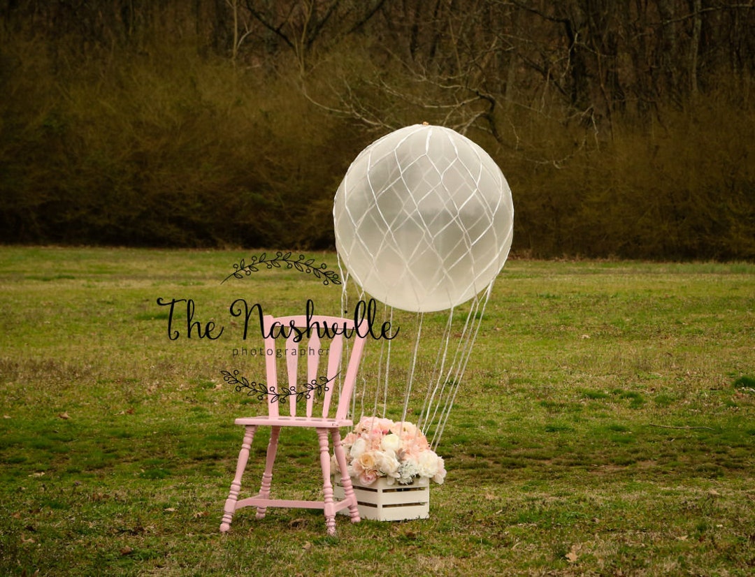 Hot Air Balloon and Pink Chair Digital Background Download Only ...