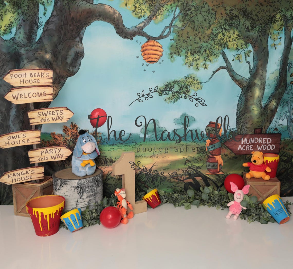 Character First Birthday Digital Background Backdrop Download Only - Etsy