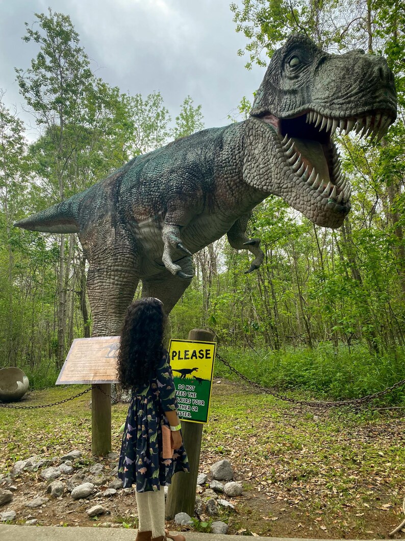 Dinosaur Dress Girly Dino Dress Toddler Dino Dress Girls - Etsy