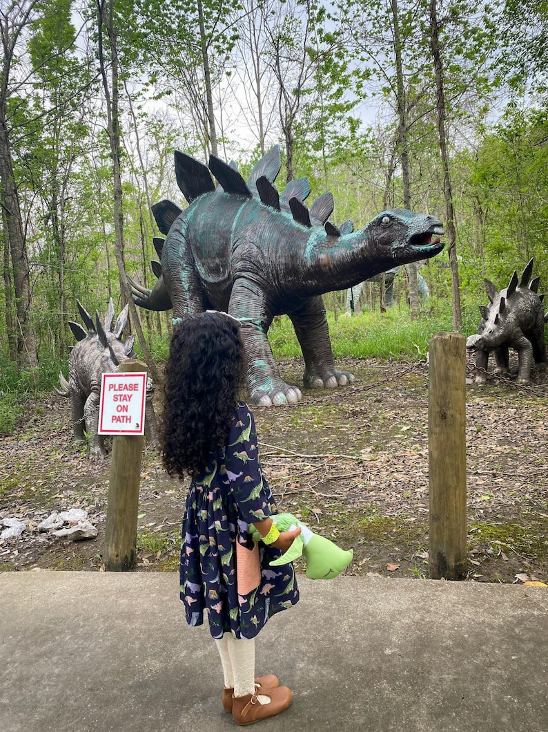 Dinosaur Dress Girly Dino Dress Toddler Dino Dress Girls - Etsy