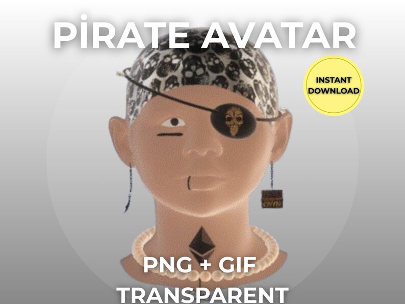 Pirate Avatar for Discord Twitch Profile Picture PNG GIF Transparent ...