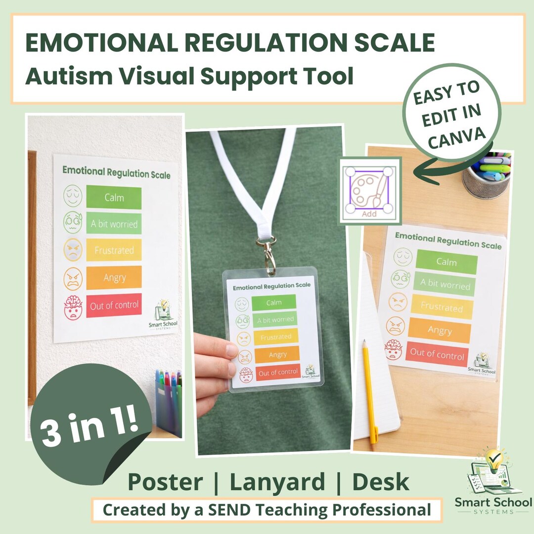 Editable 5 Point Emotional Regulation Scale. SEND Behaviour Tool ...