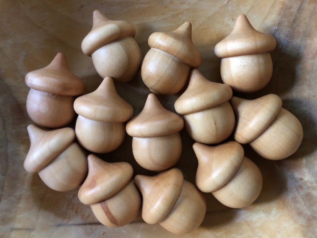 12 Natural Wooden Acorns (one Dozen Polished) - Waldorf Inspired Pieces ...