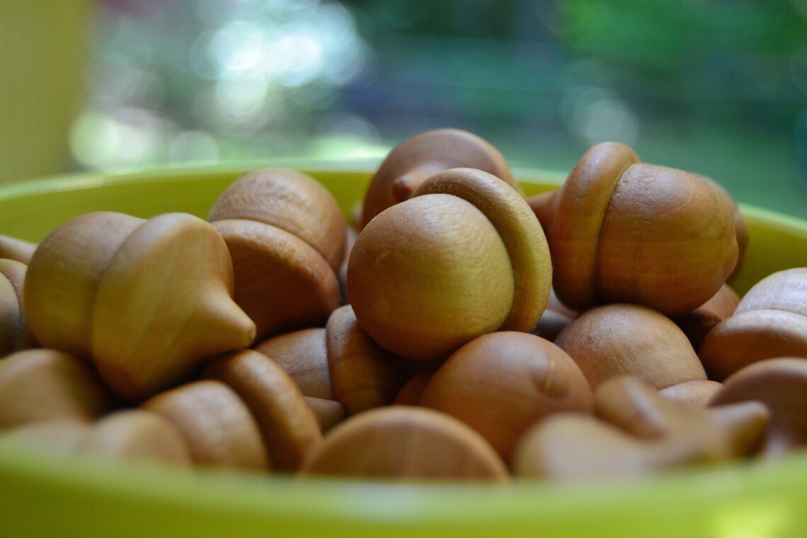 24 Natural Wooden Acorns two Dozen Polished Waldorf | Etsy