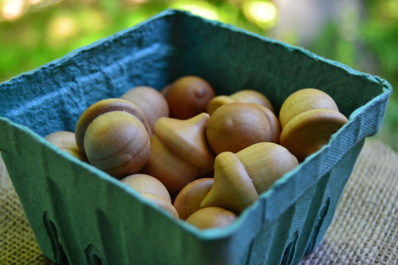24 Natural Wooden Acorns two Dozen Polished Waldorf | Etsy