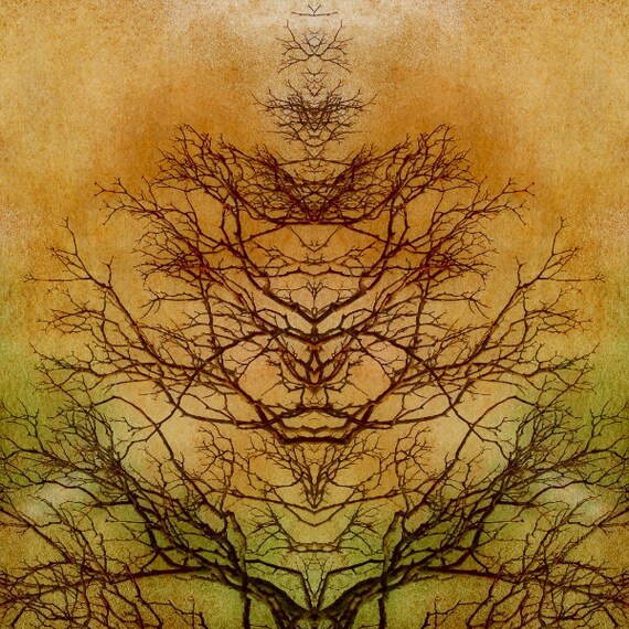 Tree of Life Abstract Mirror Image Rorschach Inkblot Tree | Etsy