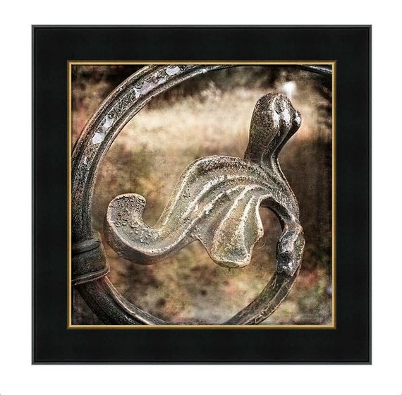 Still Life Photography of Rusty Rustic Iron Gate Leaf Metal | Etsy