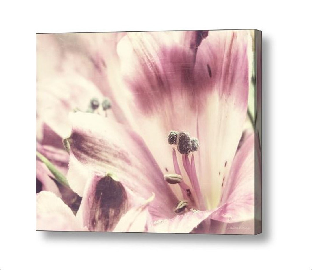 Pink Flower Wall Art, Pink Flower Petals, Cottage Style Romantic Soft ...