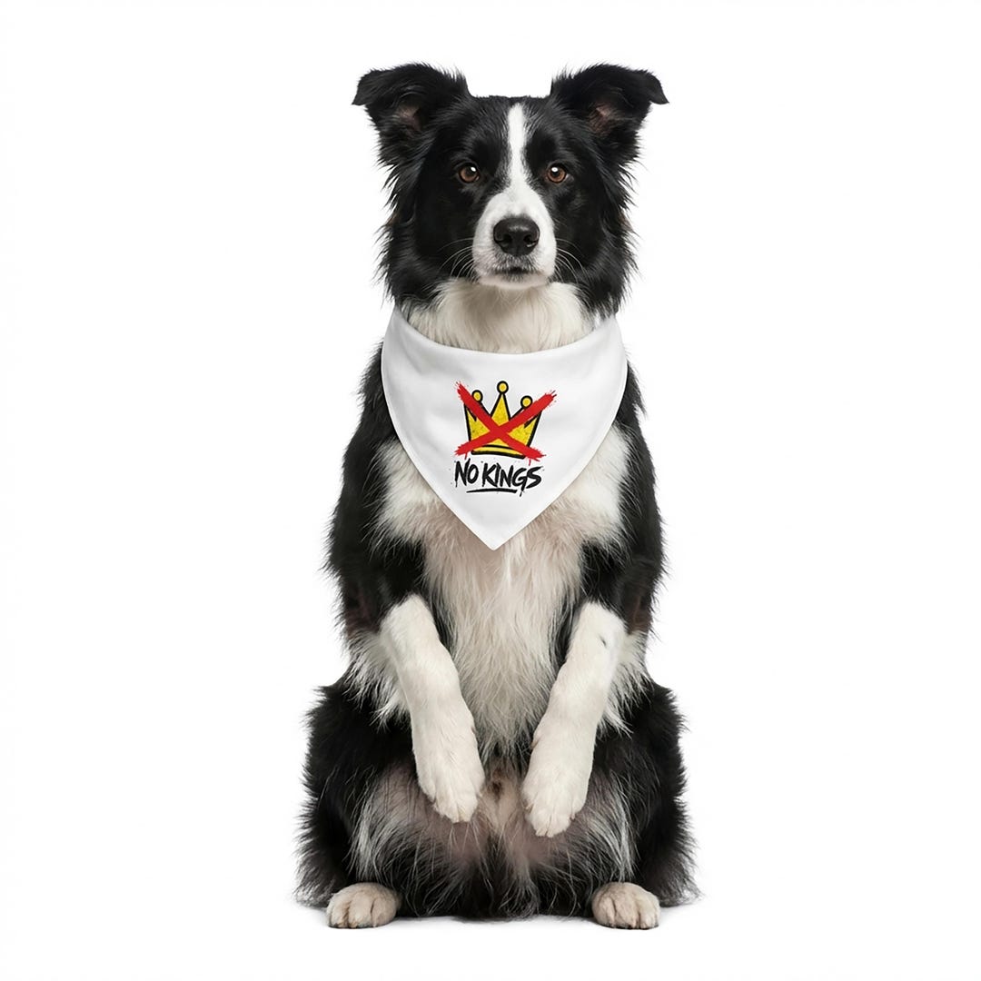 No Kings Dog Bandana - Resistance Pet Accessories - Etsy