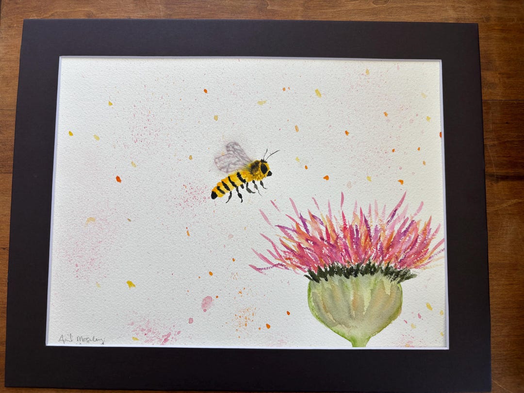 Protea and Bee, a 9 X 12" Original Watercolor Painting, Matted in a 11 ...