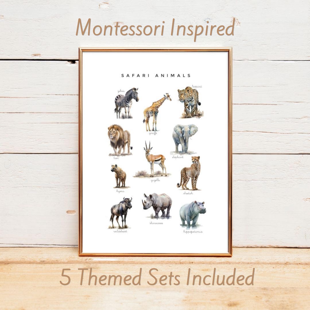 Montessori Animal Posters Printable | Safari, Farm, Woodland ...