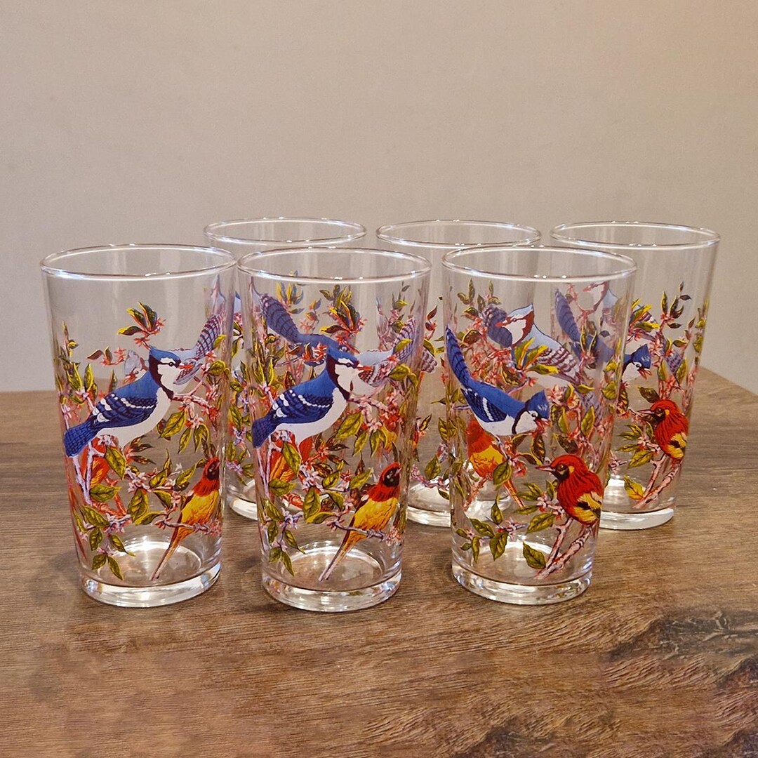 Vintage Retro Bird Design Lemonade Set, Water Set, Drinks Set, Picnic ...