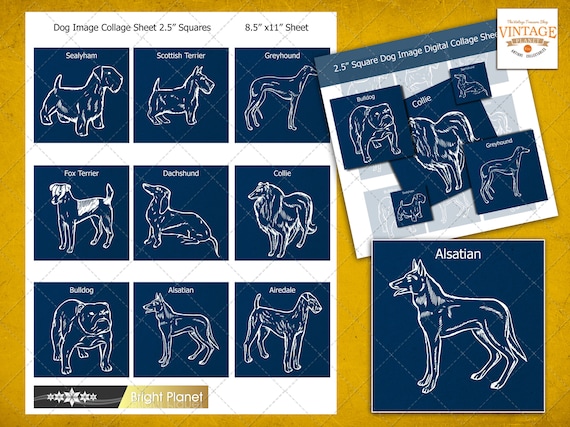 Dog Image Digital Collage Sheet White Images on Blue - Etsy