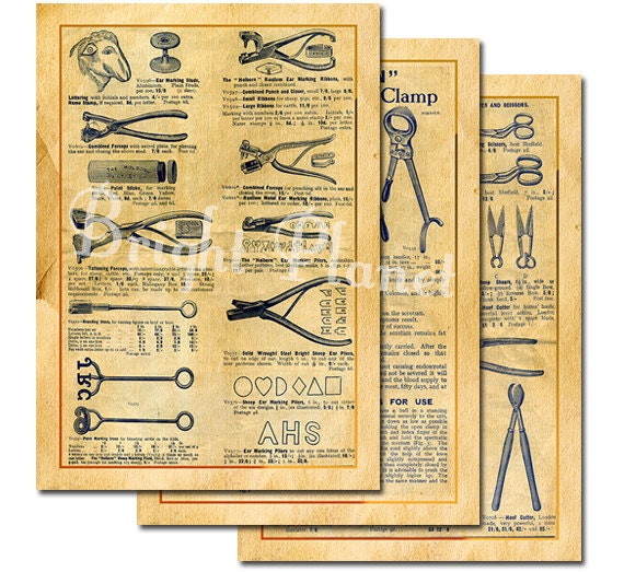 Veterinarian Tools List