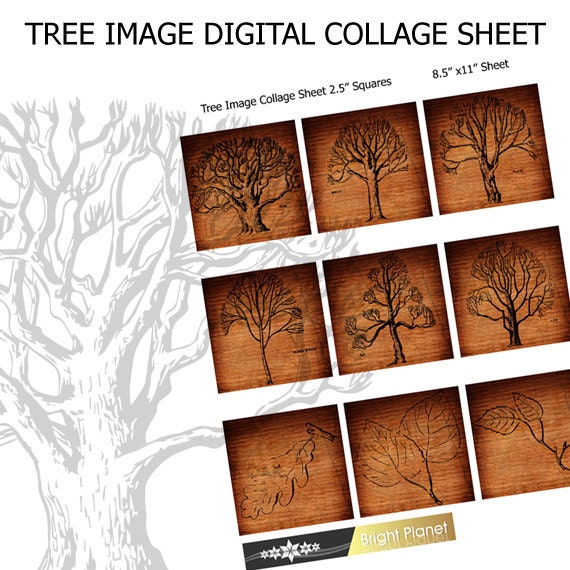 Tree Image Downloadable Digital Collage Sheet 8.5 X - Etsy