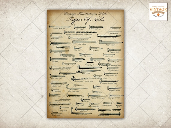 Types of Nails Chart Vintage Diy / Carpentry Digital Image | Etsy