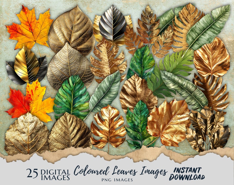 25 Leaves Clipart PNG Transparent Images Autumn Leaf Gold Leaf Banana ...