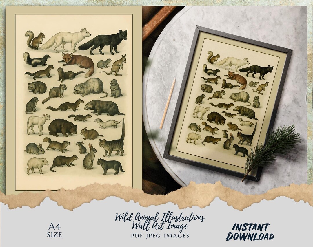 Wild Animal Illustrations Wall Art | A4 Printable Digital Download ...