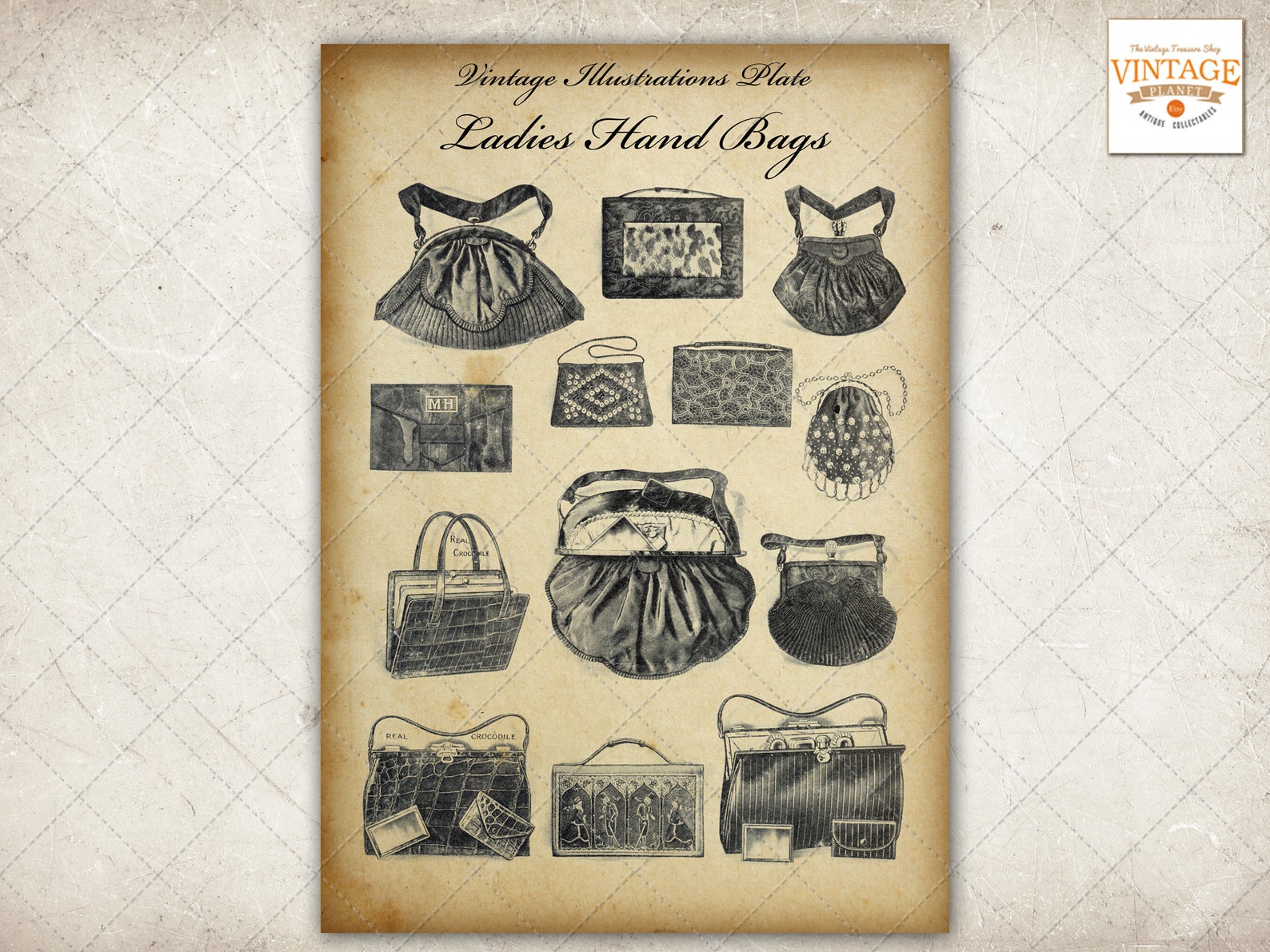 Vintage Ladies Bags Illustration Image Plate: A4 Size, 300 Dpi, Jpeg ...