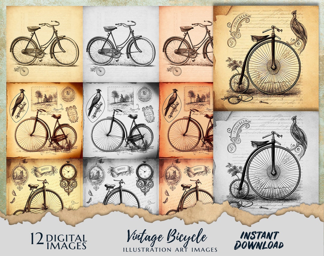 Vintage Bicycles Illustration Set, 12 Variations Images of 19th and ...