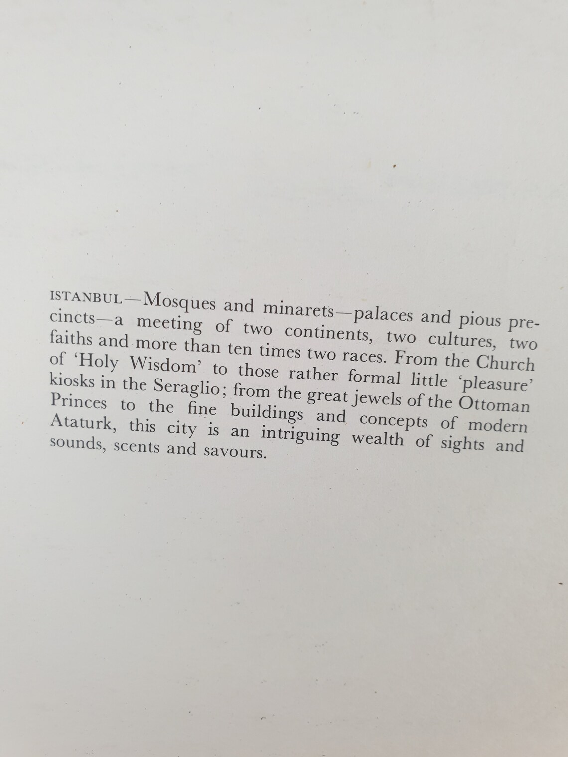 Vintage Hotel B.I Lunch Menu Card From Uganda, Istanbul Scene Theme ...