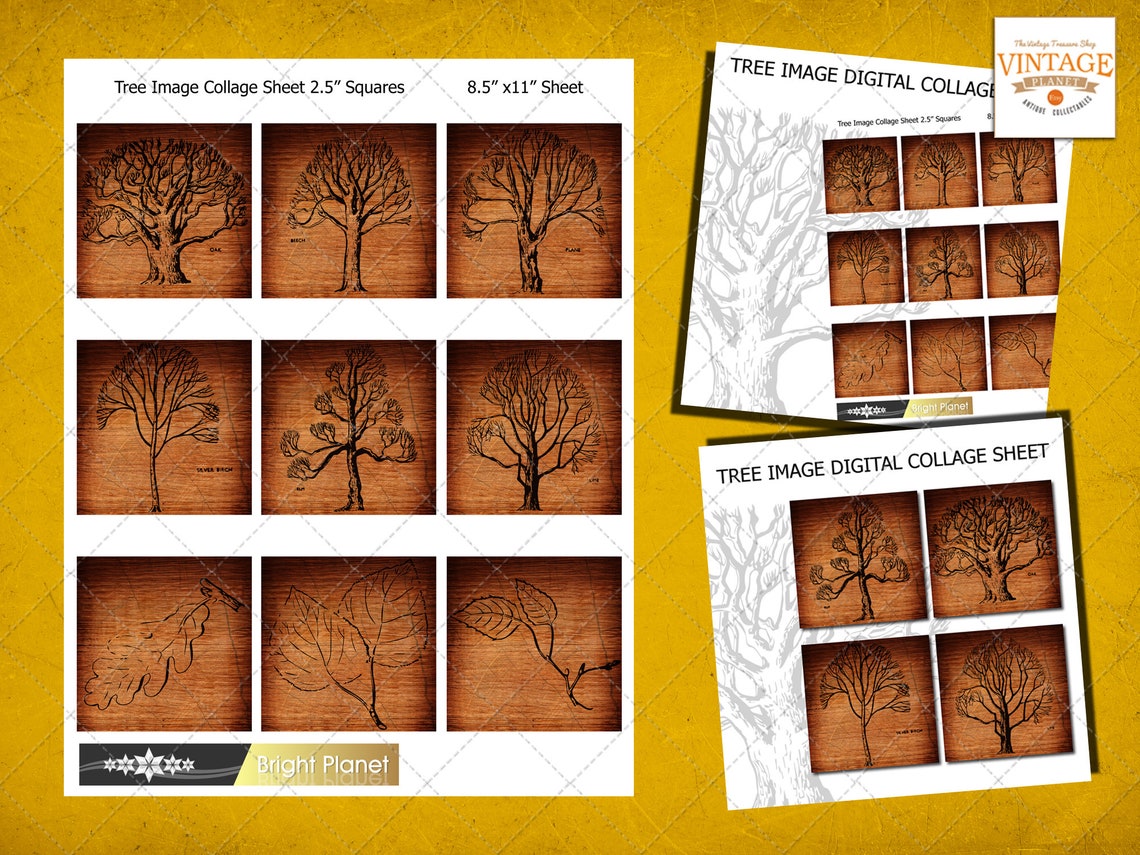 Tree Image Downloadable Digital Collage Sheet 8.5 X - Etsy