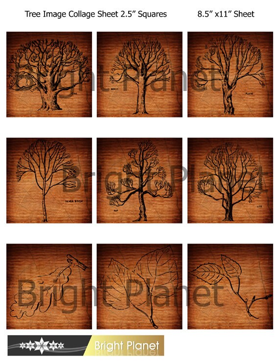 Tree Image Downloadable Digital Collage Sheet 8.5 X - Etsy