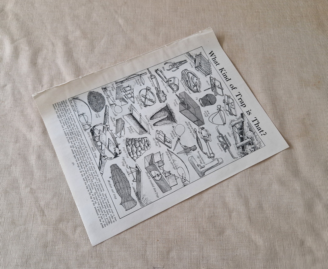 Vintage Drawing Image Book Plate Animal Traps Image Illustrations What ...