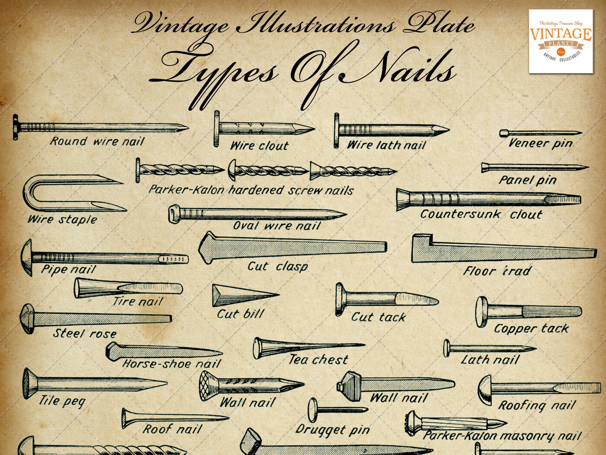 Types of Nails Chart Vintage Diy / Carpentry Digital Image ...