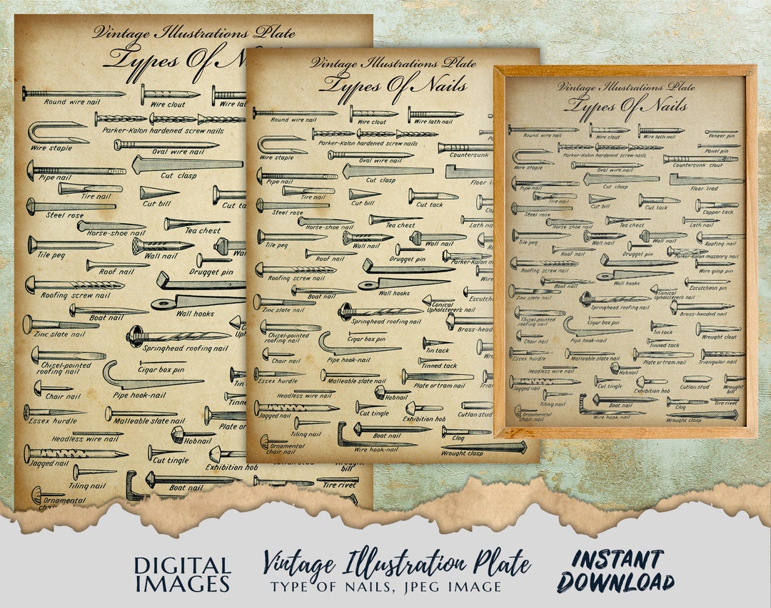 Types of Nails Chart Vintage Diy / Carpentry Digital Image ...