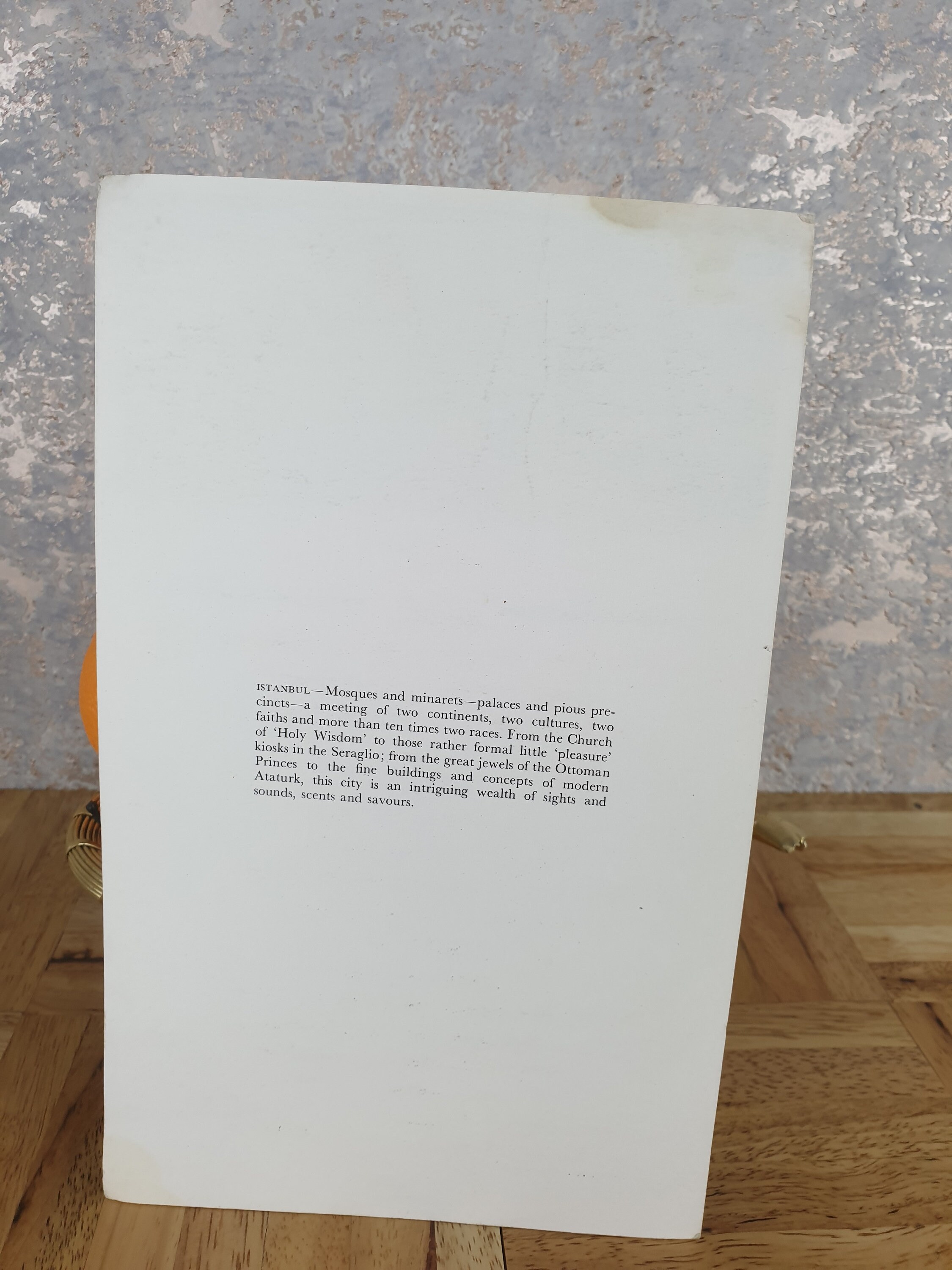 Vintage Hotel B.I Lunch Menu Card From Uganda, Istanbul Scene Theme ...