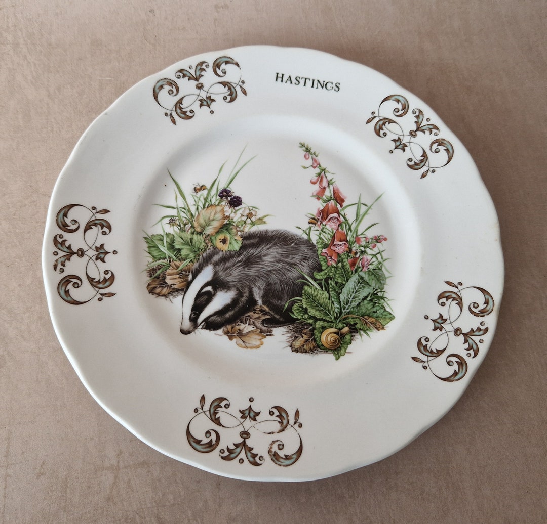 Hastings English Bone China Badger Collectors Plate / Wall Plate ...