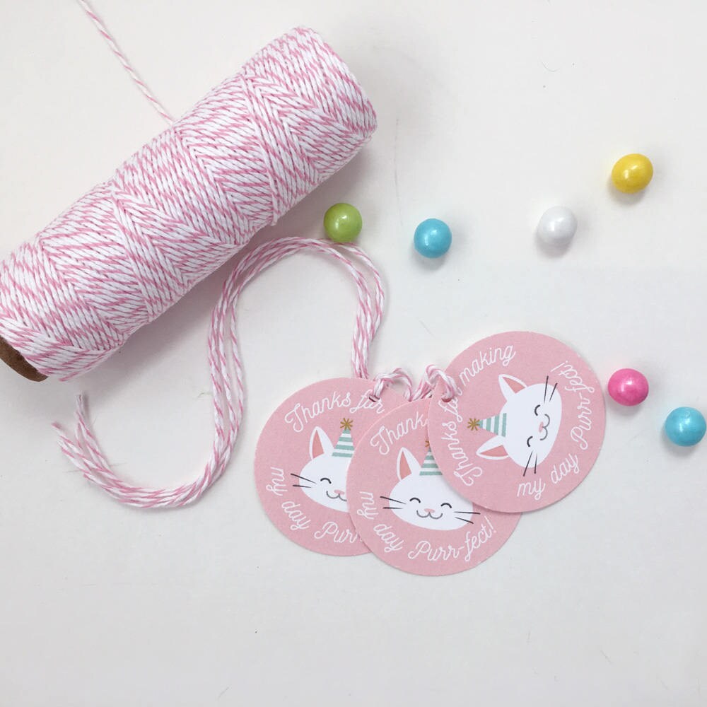Kitty Cat Party Package INSTANT DOWNLOAD Kitten Birthday | Etsy