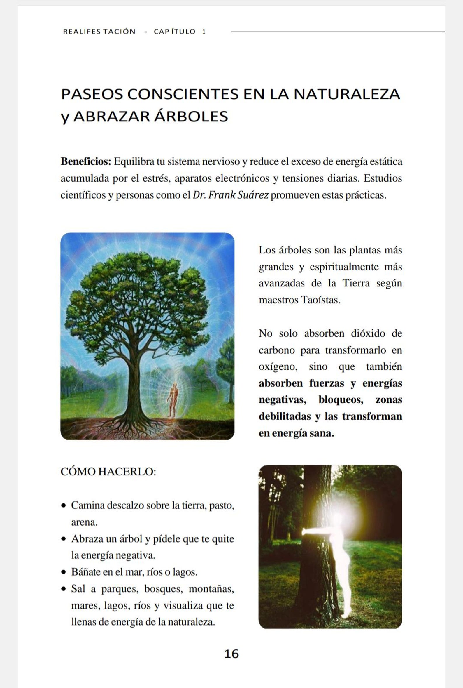 REALIFESTACIÓN – Libro de Manifestación con más de 200 Rituales - Ley ...
