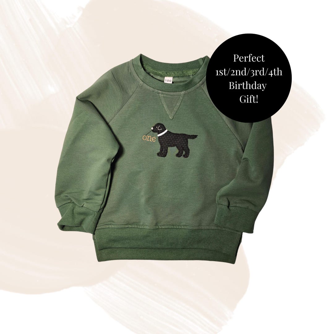 Black Lab Baby Gift Embroidered Birthday Sweater for Toddler Birthday ...