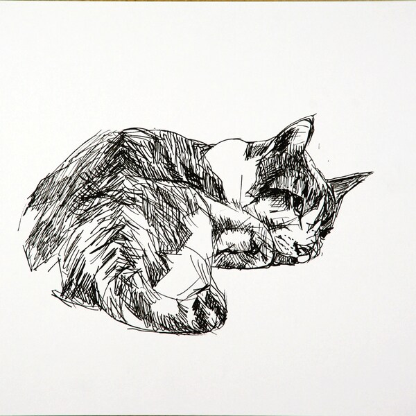 Cat Pen and Ink - Etsy