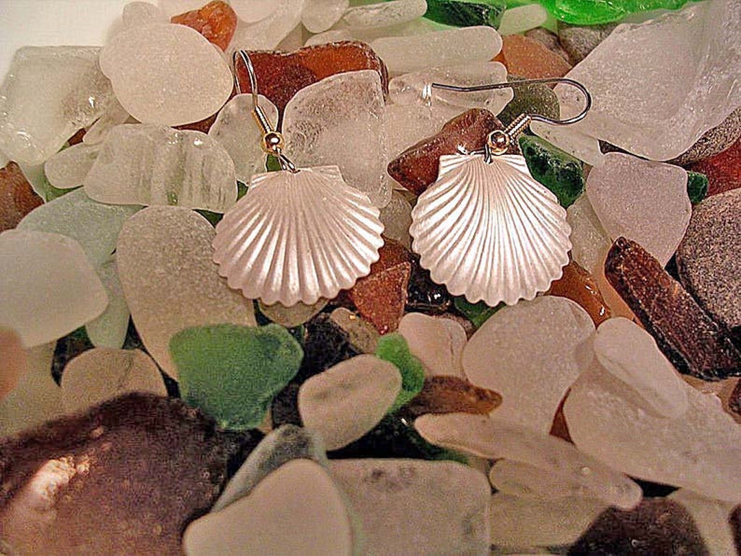 Scallop Shell Earrings. Hand Painted in Pearlescent White.. - Etsy
