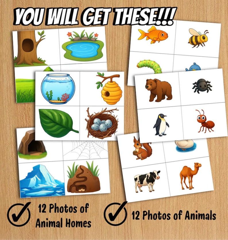 Animal Homes Matching Game | Fun Kids Activity | Homeschool and School ...