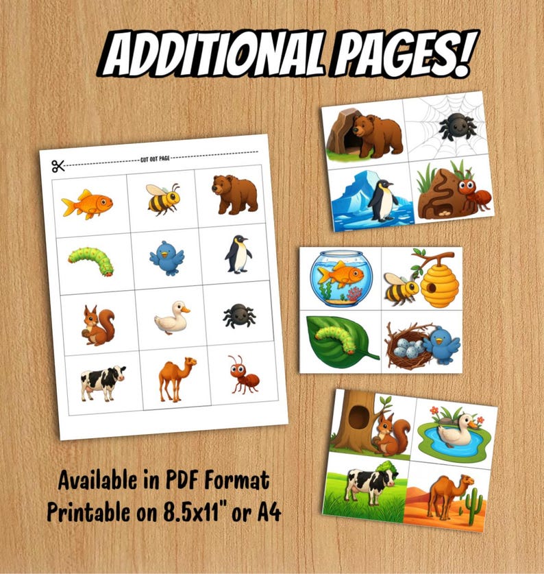 Animal Homes Matching Game | Fun Kids Activity | Homeschool and School ...
